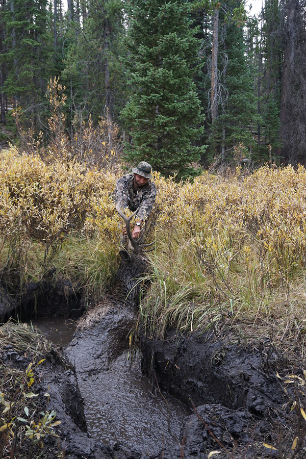 Hunters save elk from a muddy grave - Outdoor News