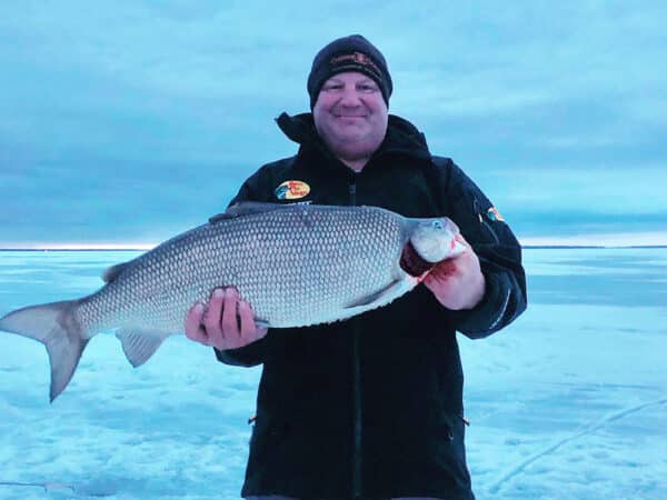 A new Minnesota whitefish record? - Outdoor News