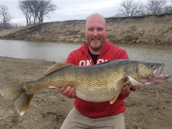 Walleye that topped 16 pounds not a North Dakota record after all ...