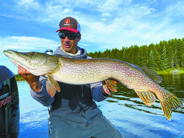 With the correct gear, the big pike of fall can be had - Outdoor News