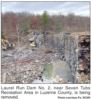 Removal of dam restores stream in Pennsylvania - Outdoor News