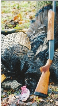 Wisconsin's ’23 turkey, waterfowl, and rooster work done - Outdoor News