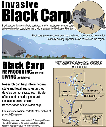 Invasive black carp established in parts of the Mississippi River basin ...