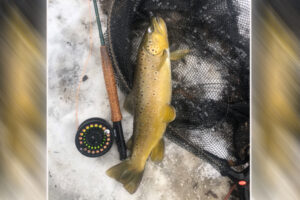 Late winter trout fishing in northeast Iowa’s driftless region is a ...