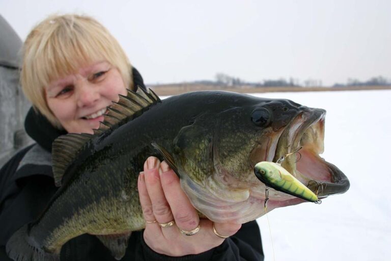 A look at Iowa license sales by the numbers from 2022 - Outdoor News