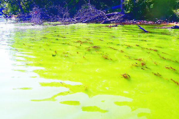 Examining the implications of when ice-out occurs on lakes - Outdoor News