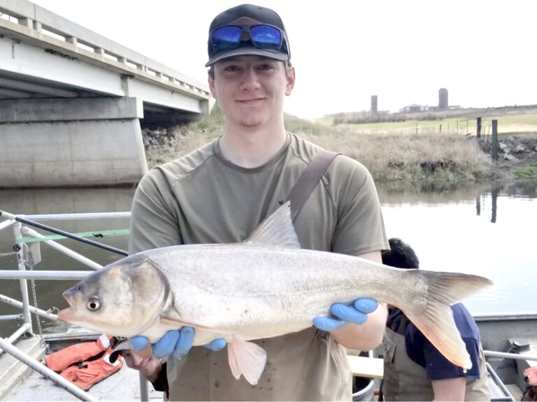 Electric barrier, ongoing research fight off Asian carp in Iowa's ...