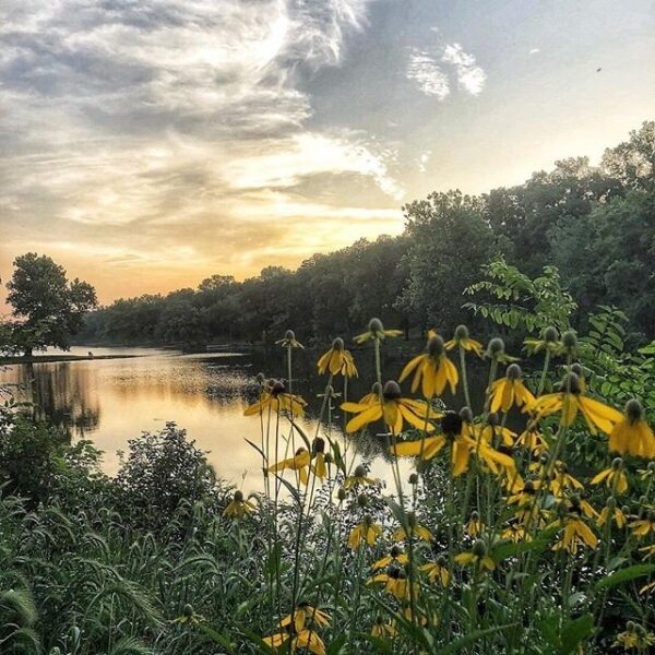 Restoration planned for Lake Keomah State Park in Iowa - Outdoor News