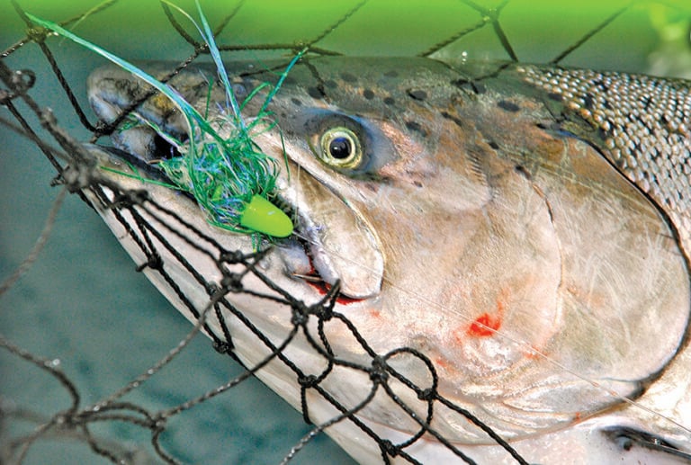 Here's how to catch salmon without downriggers - Outdoor News