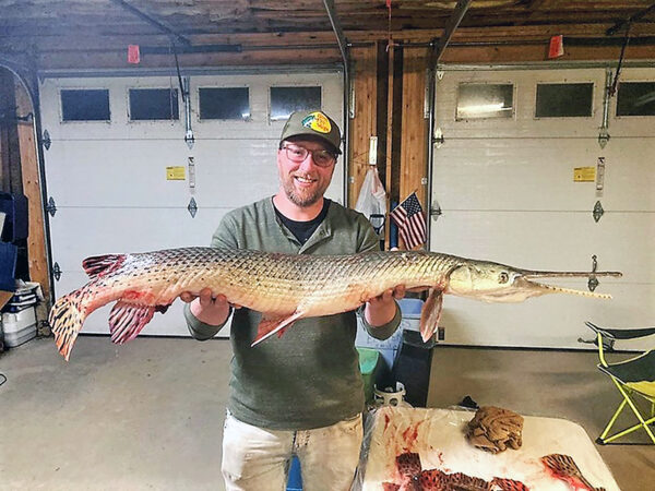 Lake Champlain longnose gar is new Vermont state record - Outdoor News