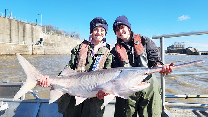 Paddlefish, rainbow trout part of 'interesting' catches by researchers ...