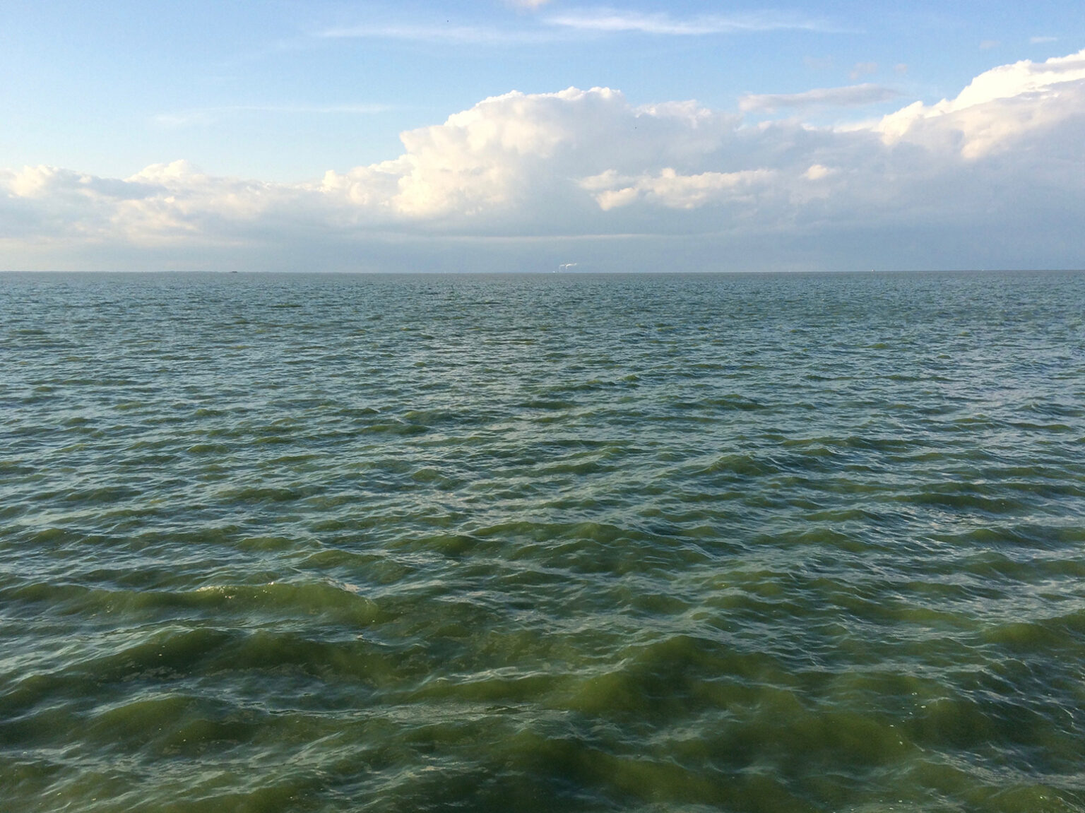 Ohio's pollution plan to combat algae blooms in Lake Erie due by June ...