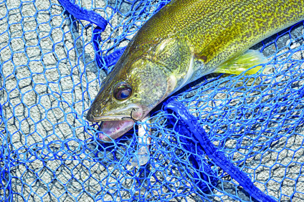 LCCMR projects bill clears committee in Minnesota; and more lines for ...