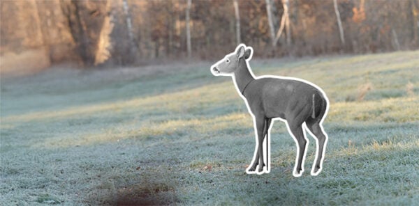 Doe decoys during the rut: How to give bucks what they want to see ...