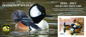 Ohio duck stamp entries being accepted through Feb. 1 - Outdoor News